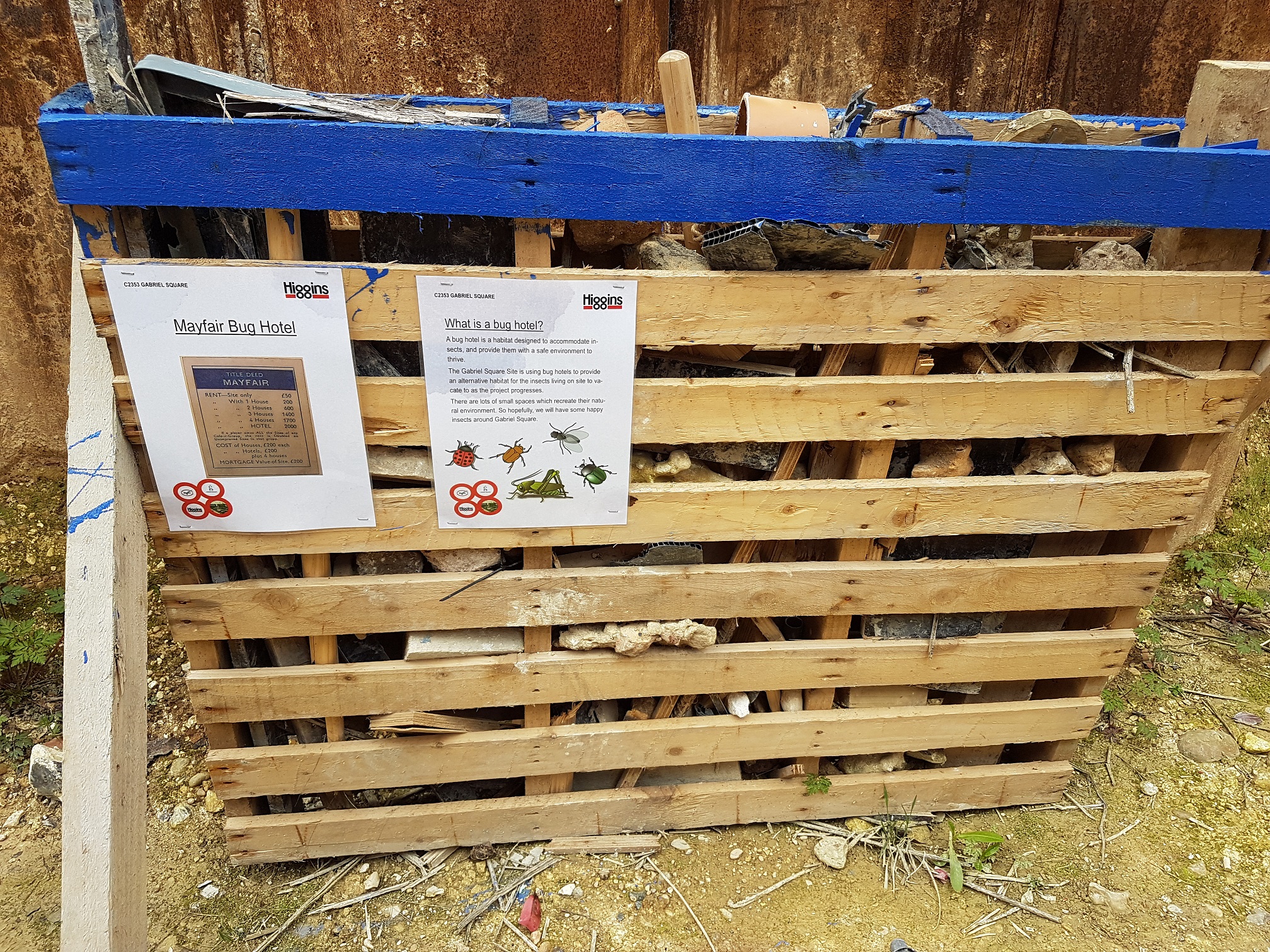 » Building an Insect Hotel Habitat Best Practice Hub