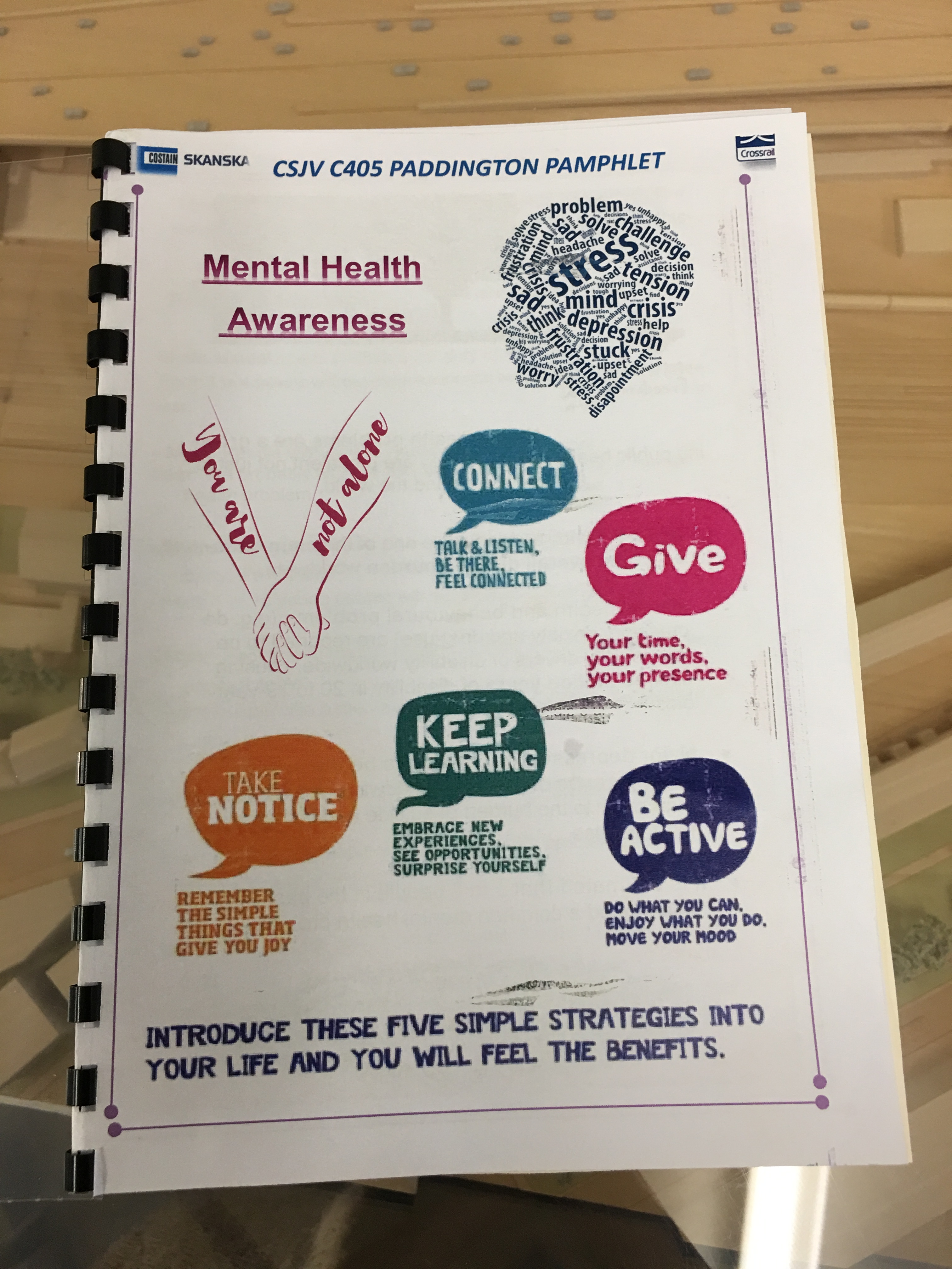 Mental Health Awareness Project Pamphlet Best Practice Hub