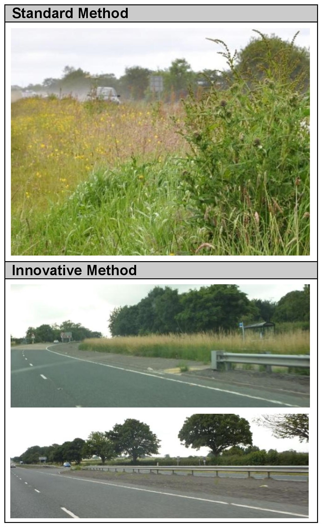 » Verge hardening reduces maintenance burden Best Practice Hub