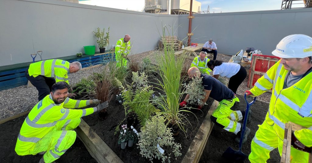 » CASE STUDY: Wellness Garden Launched at Construction Site Project ...
